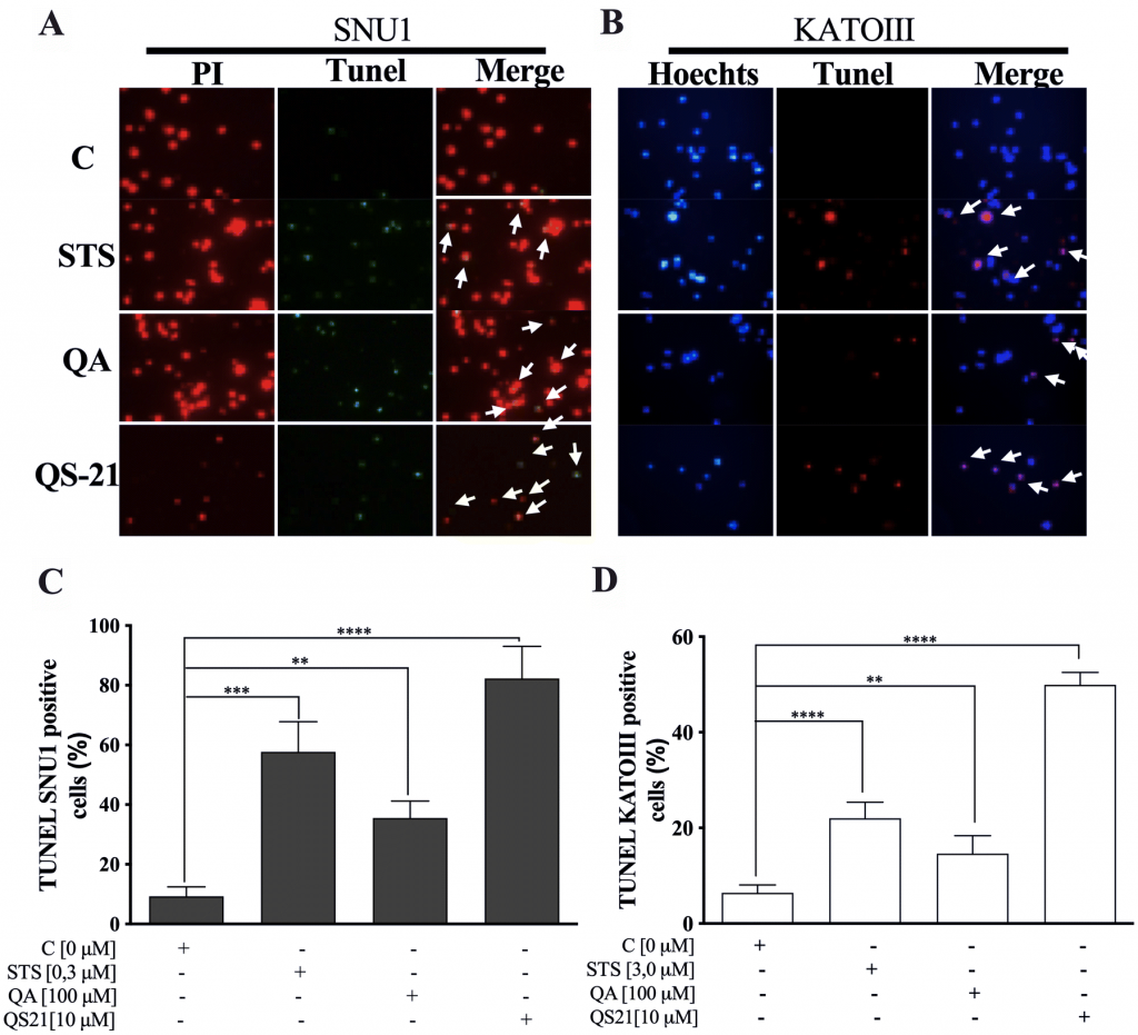 In vitro evaluation and molecular docking of QS-21 and quillaic acid ...