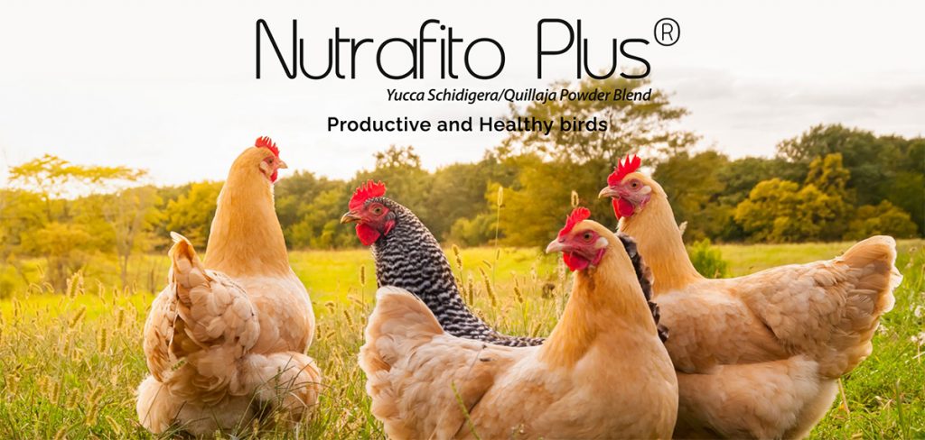 Animal Nutrition & Health Applications - improve performance ...