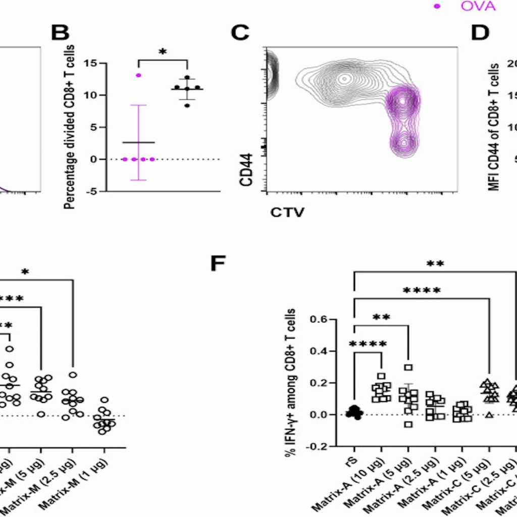 Matrix-M Adjuvant Enhances Immune Response Mechanisms