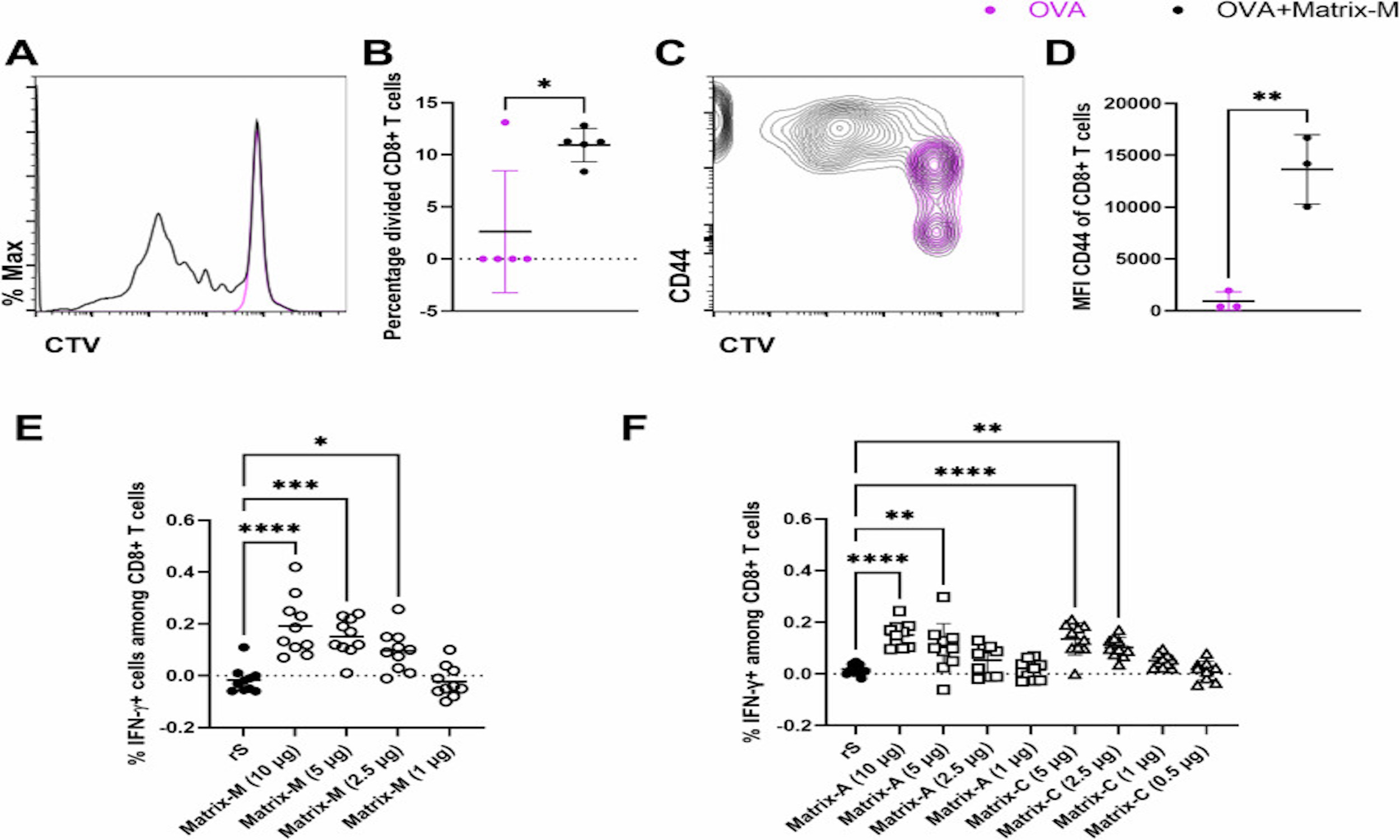 Matrix-M Adjuvant Enhances Immune Response Mechanisms