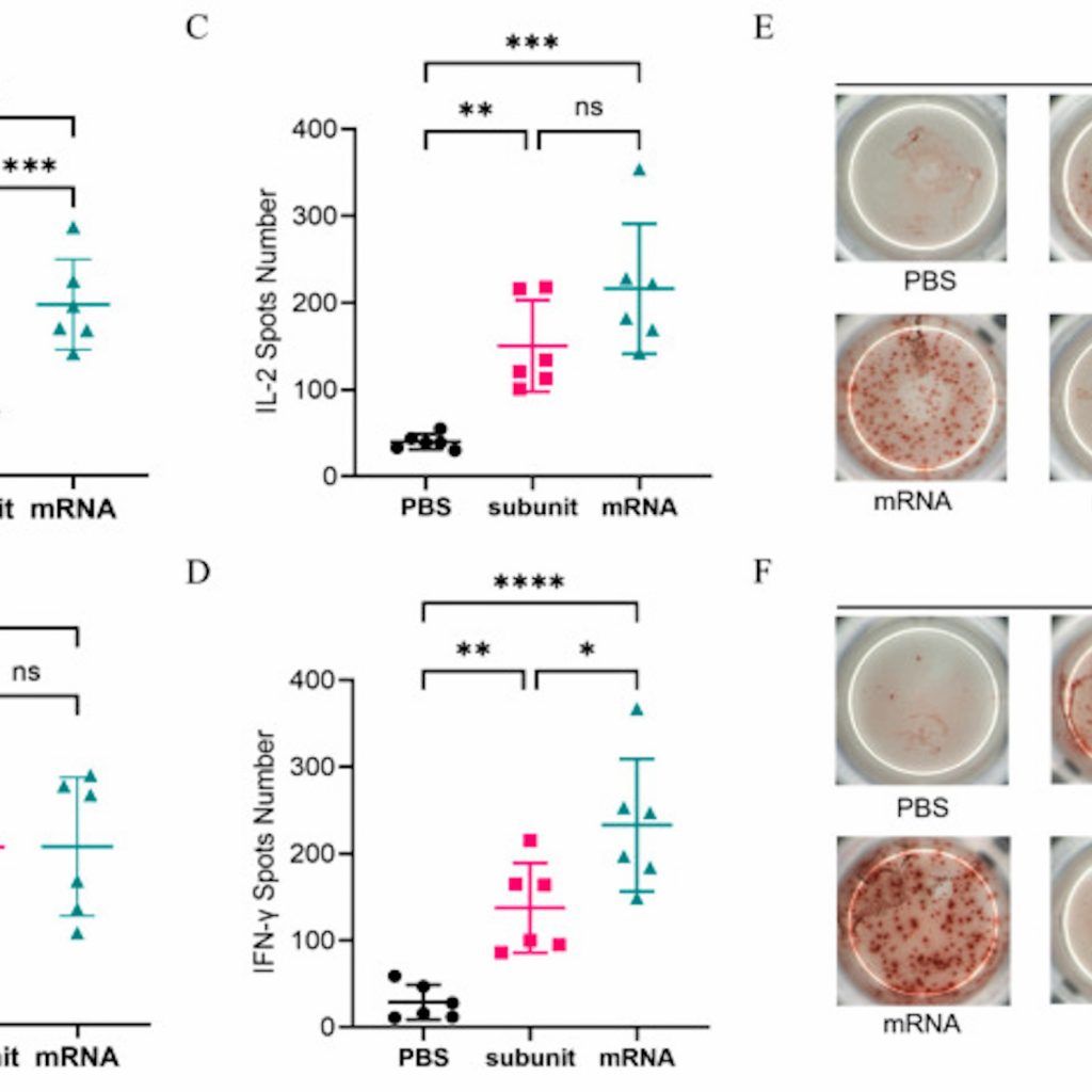 HSV-1 Subunit Vaccine Shows Strong Immune Protection
