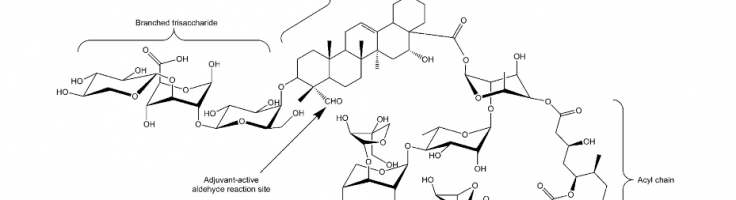 Identification of QS-21 as an Inflammasome-activating Molecular ...